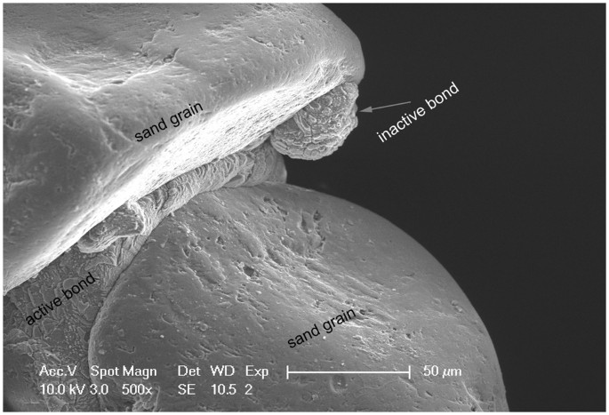 3-D micro-architecture and mechanical response of soil cemented via ...