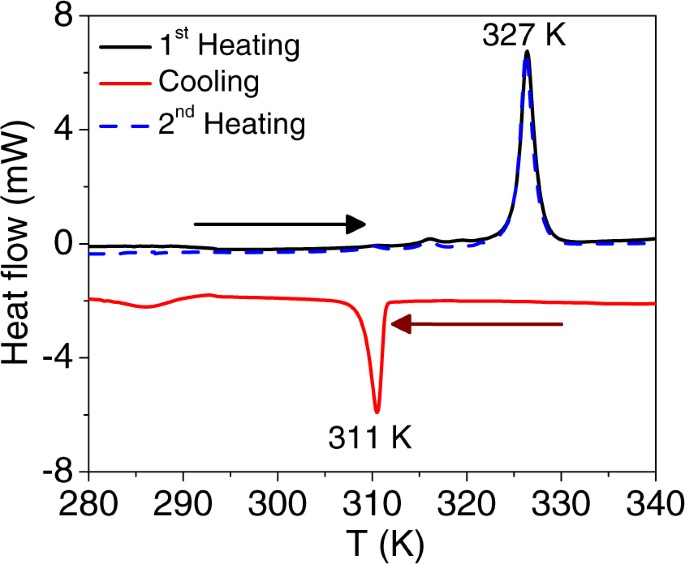 Dynamical Transitions and Diffusion Mechanism in DODAB Bilayer ...