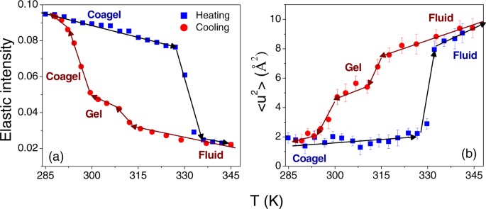 Dynamical Transitions and Diffusion Mechanism in DODAB Bilayer ...