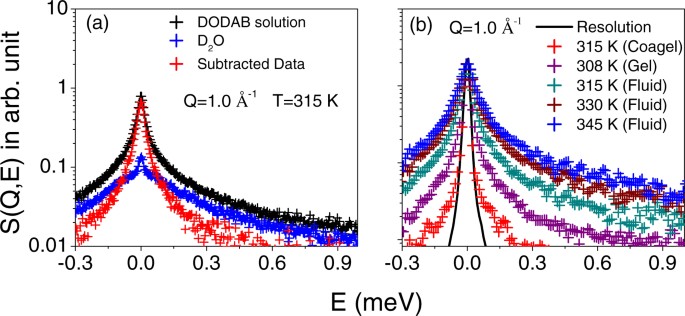 Dynamical Transitions and Diffusion Mechanism in DODAB Bilayer ...