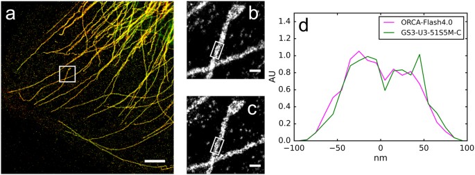 Multiplane and Spectrally-Resolved Single Molecule Localization ...