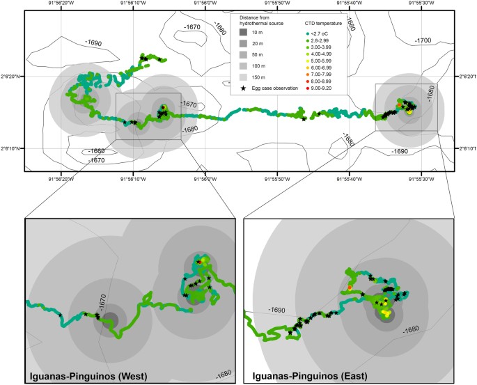 Deep-sea hydrothermal vents as natural egg-case incubators at the ...
