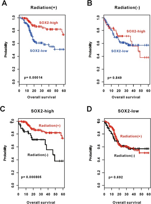 SOX2 activation predicts prognosis in patients with head and neck ...
