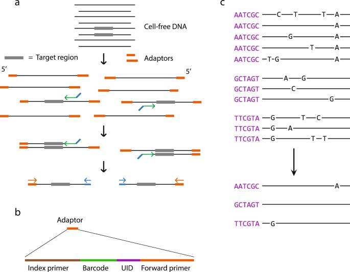 Optimized targeted sequencing of cell-free plasma DNA from bladder cancer patients | Scientific ...