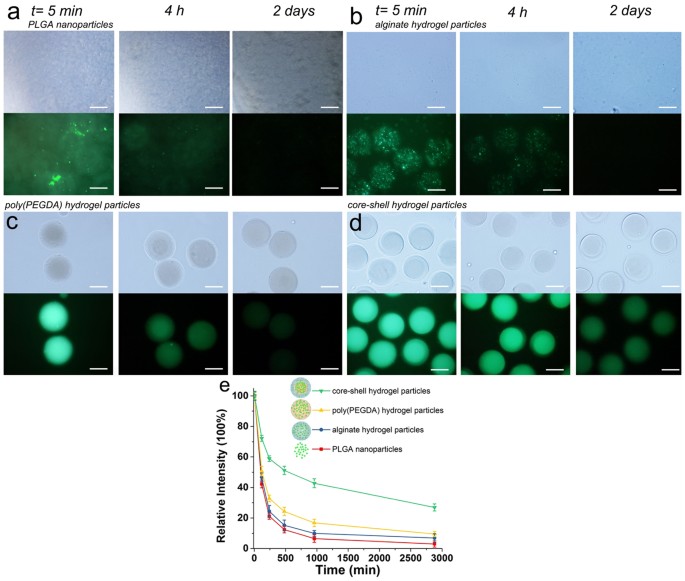 Polymerization-Induced Phase Separation Formation of Structured ...