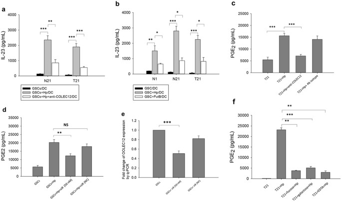 Stromal C-type lectin receptor COLEC12 integrates H. pylori, PGE2-EP2/4 ...