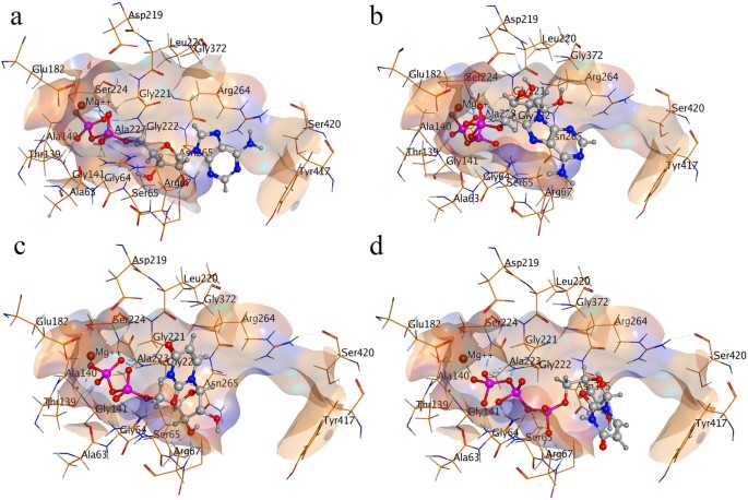 Molecular Dynamic Simulations Reveal Structural Insights Into Substrate