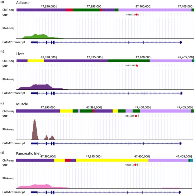 Functional Variants Identified Efficiently through an Integrated ...