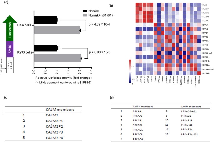 Functional Variants Identified Efficiently through an Integrated ...