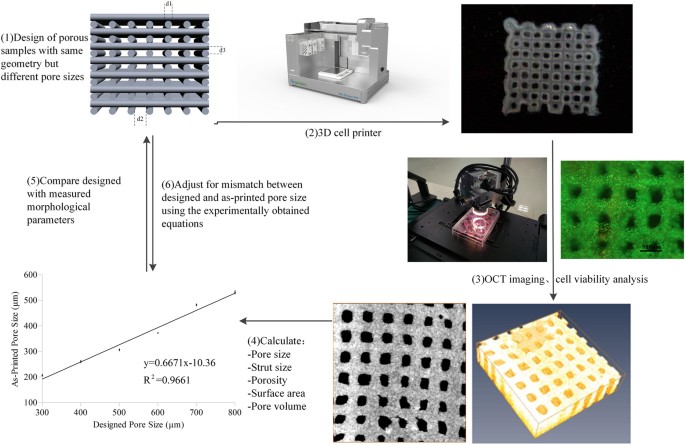 Iterative feedback bio-printing-derived cell-laden hydrogel scaffolds with optimal geometrical ...