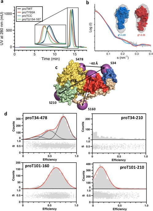 Structure of prothrombin in the closed form reveals new details on the ...