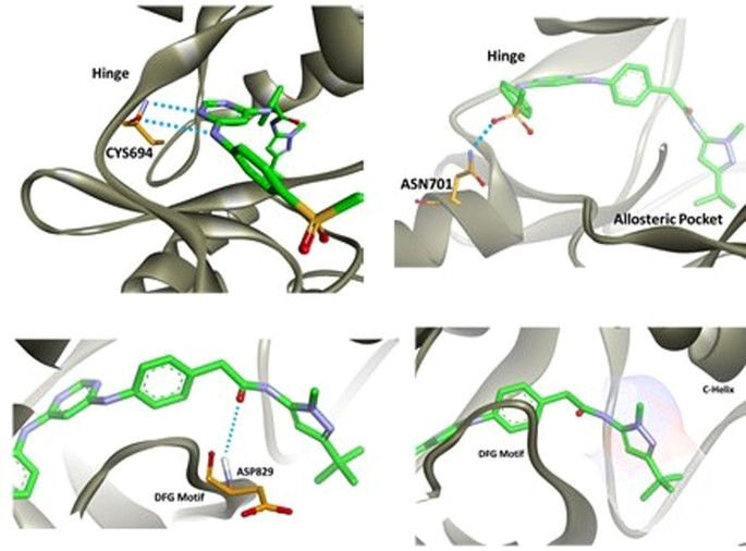 Rational Design, Synthesis and Biological Evaluation of Pyrimidine-4,6 ...