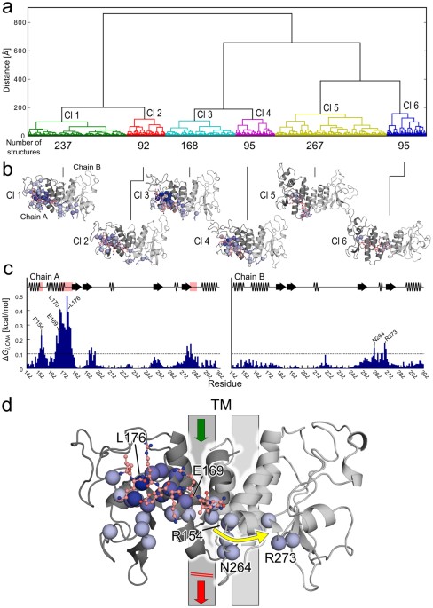 Recognition motif and mechanism of ripening inhibitory peptides in ...