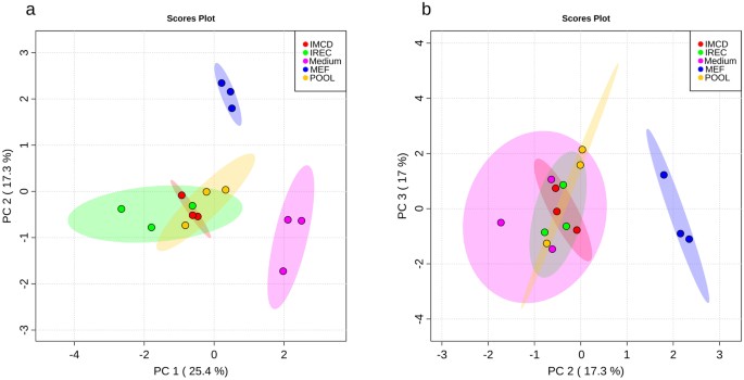 Metabolic characterization of directly reprogrammed renal tubular ...