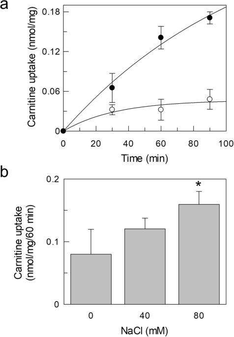 Characterization of Exosomal SLC22A5 (OCTN2) carnitine transporter ...