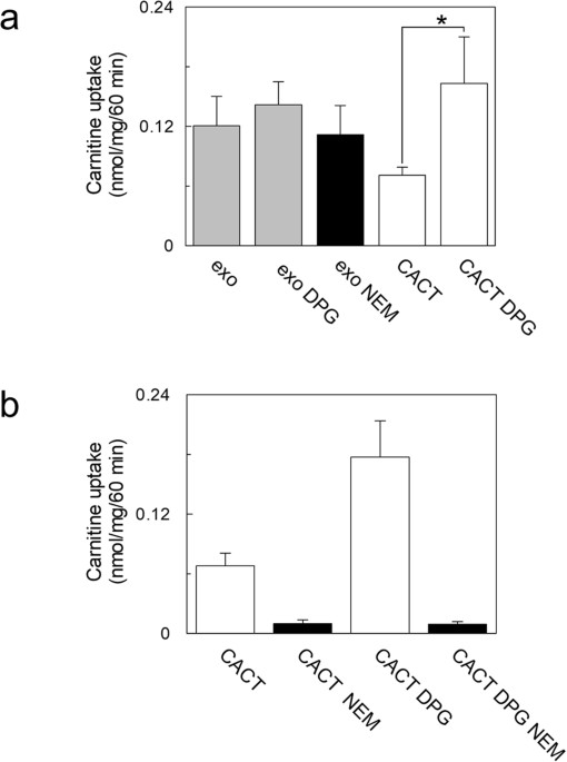 Characterization of Exosomal SLC22A5 (OCTN2) carnitine transporter ...