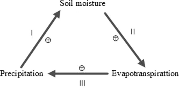 Negative soil moisture-precipitation feedback in dry and wet regions ...