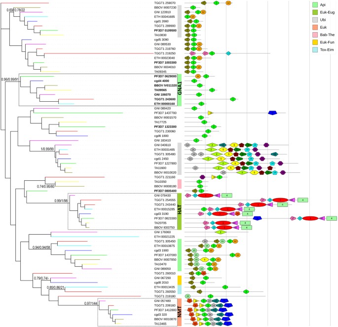 The Apicomplexa-specific glucosamine-6-phosphate N -acetyltransferase ...