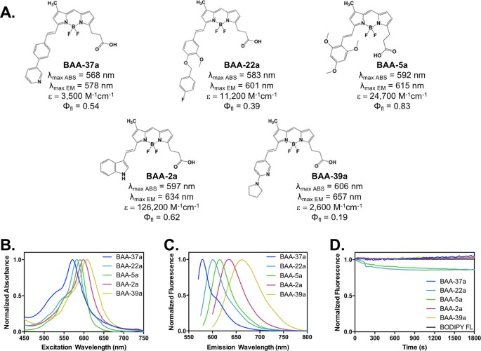 Varied Length Stokes Shift BODIPY-Based Fluorophores for Multicolor ...