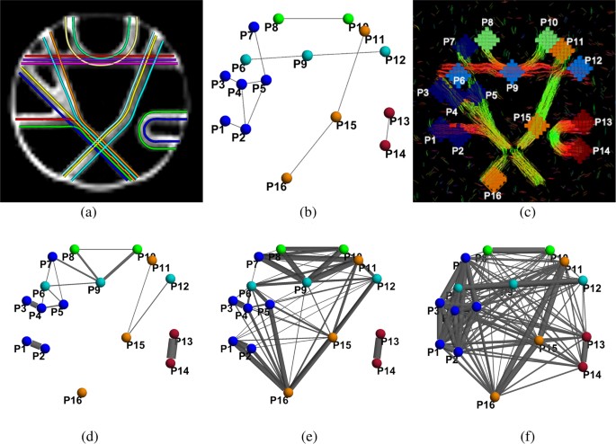 Function Specific And Enhanced Brain Structural Connectivity Mapping