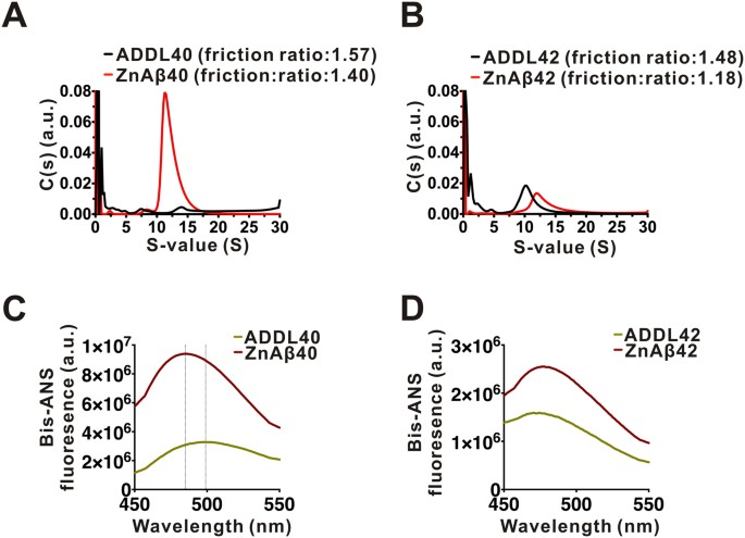 Zinc ion rapidly induces toxic, off-pathway amyloid-β oligomers ...