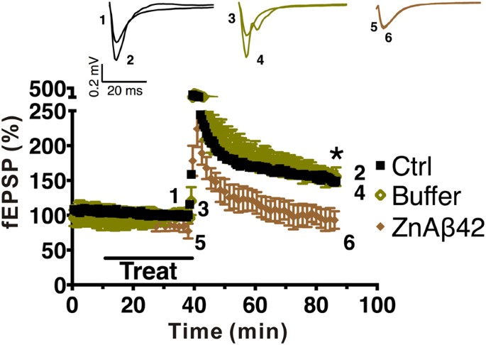 Zinc ion rapidly induces toxic, off-pathway amyloid-β oligomers ...