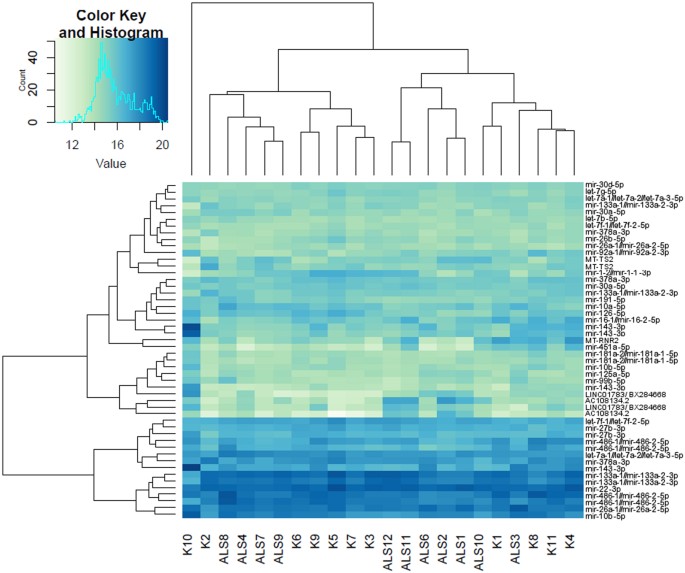 Differential expression of microRNAs and other small RNAs in muscle ...