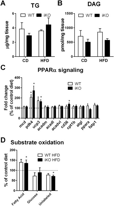 The Role of Diacylglycerol Acyltransferase (DGAT) 1 and 2 in Cardiac ...
