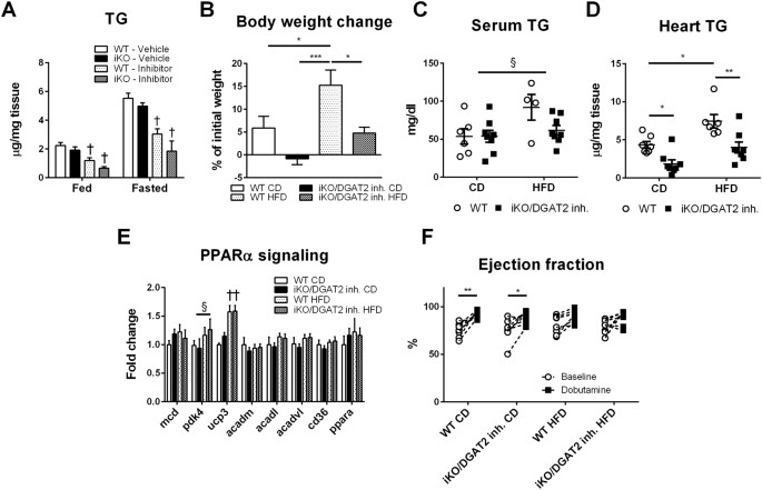 The Role of Diacylglycerol Acyltransferase (DGAT) 1 and 2 in Cardiac ...