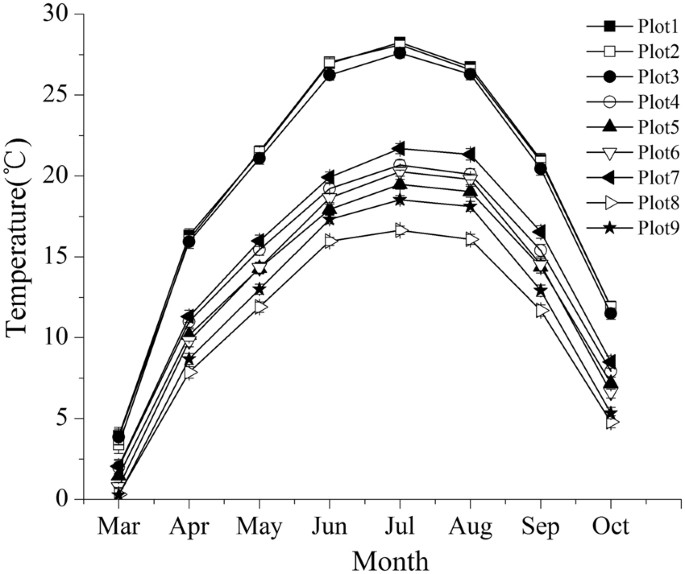 Germination heterochrony in annual plants of Salsola L.: an effective ...