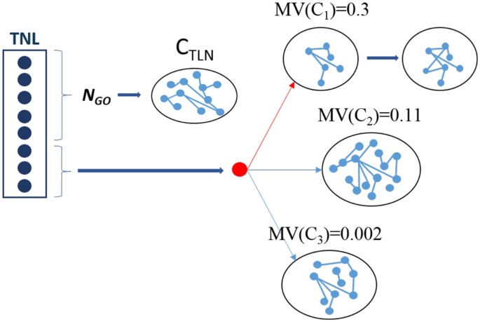 MTGO: PPI Network Analysis Via Topological and Functional Module ...