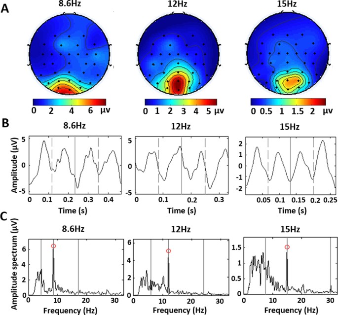 Highly Interactive Brain–Computer Interface Based on Flicker-Free ...