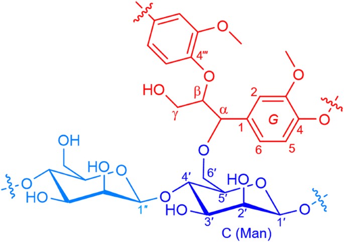 Direct evidence for α ether linkage between lignin and carbohydrates in ...