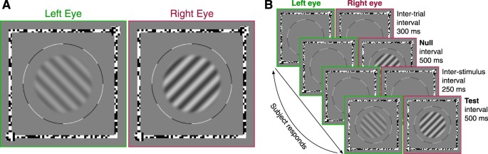 The mechanism of short-term monocular deprivation is not simple ...