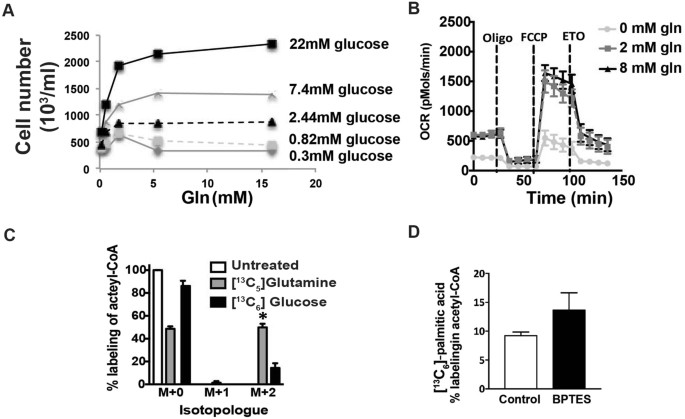 The CPT1a inhibitor, etomoxir induces severe oxidative stress at ...