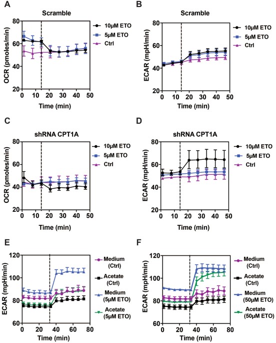 The CPT1a inhibitor, etomoxir induces severe oxidative stress at ...