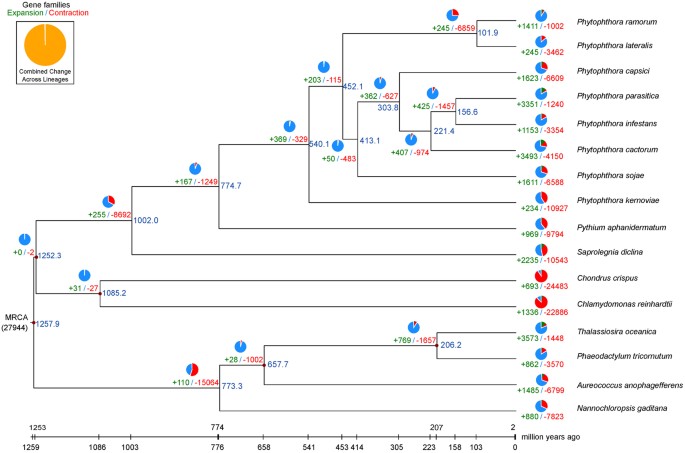 The Phytophthora cactorum genome provides insights into the adaptation ...