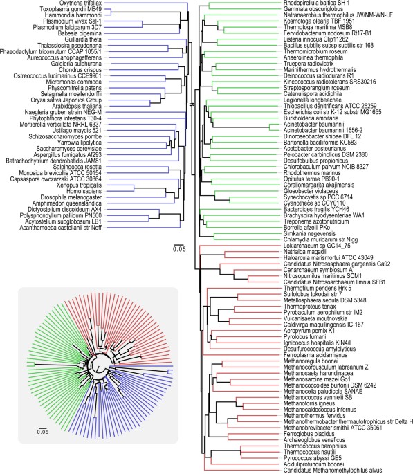 Comparative analyses of whole-genome protein sequences from multiple ...