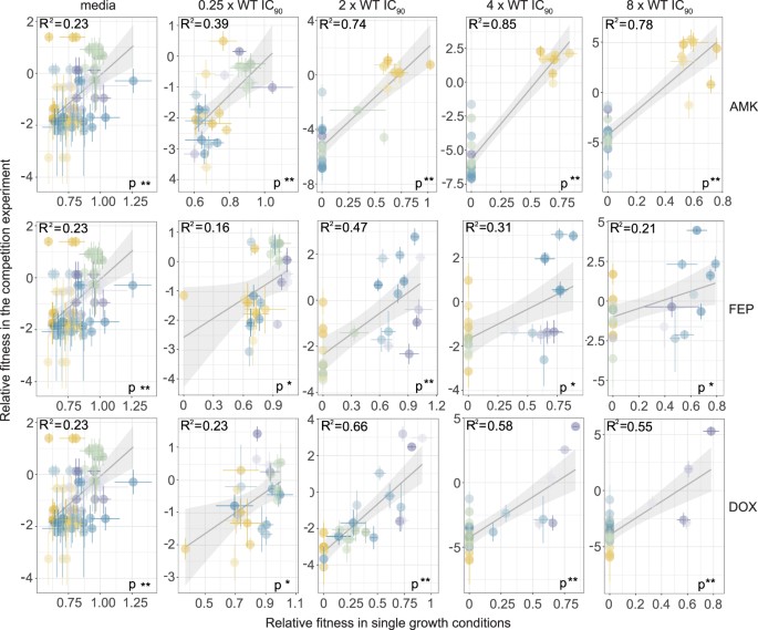 Chromosomal barcoding as a tool for multiplexed phenotypic ...