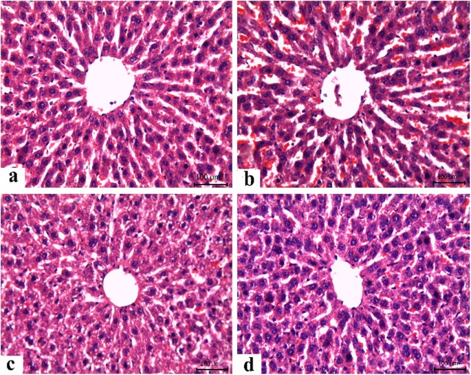 Radioprotective effect of Date syrup on radiation- induced damage in ...