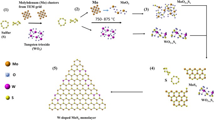 Growth of ‘W’ doped molybdenum disulfide on graphene transferred ...