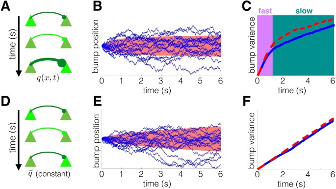 Synaptic mechanisms of interference in working memory | Scientific Reports