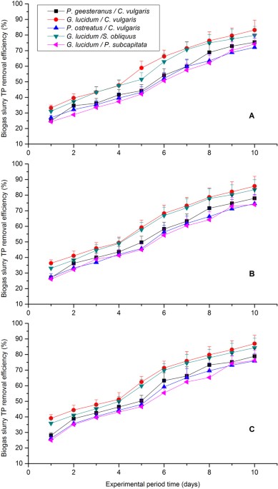 Co-cultivation of fungal-microalgal strains in biogas slurry and biogas purification under ...