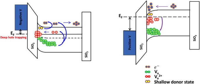 Highly Responsive Blue Light Sensor with Amorphous Indium-Zinc-Oxide ...
