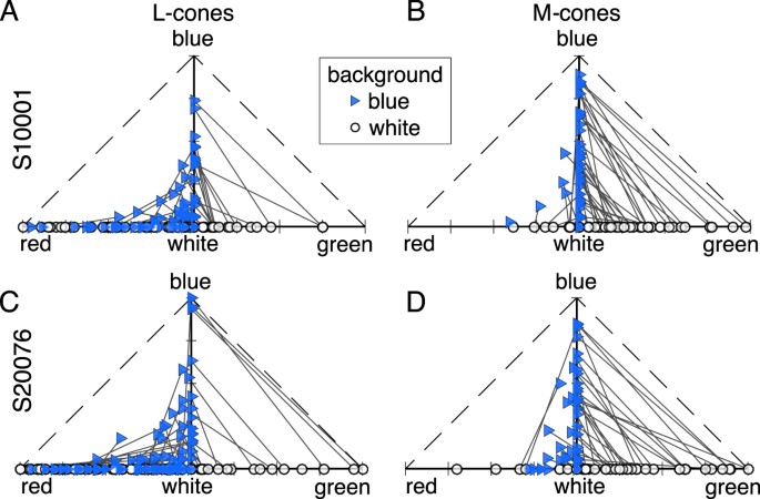 Sensations from a single M-cone depend on the activity of surrounding S ...