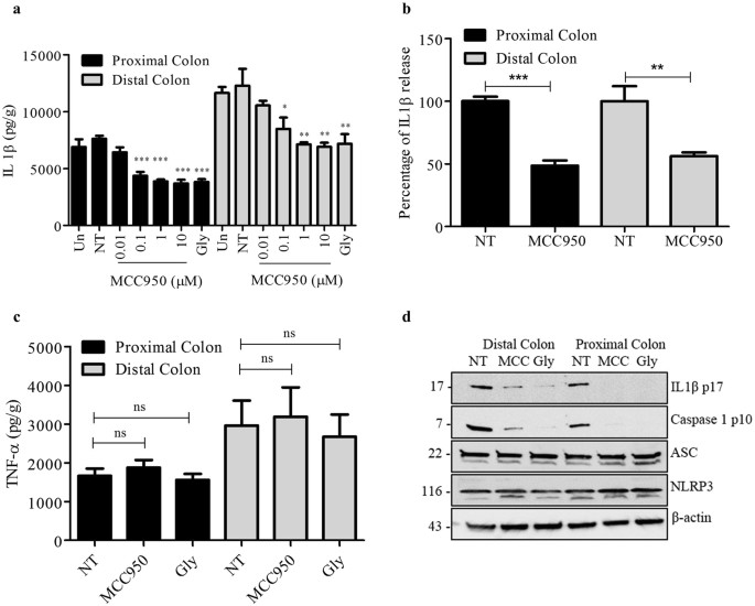 MCC950, a specific small molecule inhibitor of NLRP3 inflammasome ...