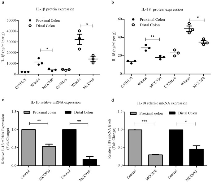 MCC950, a specific small molecule inhibitor of NLRP3 inflammasome ...