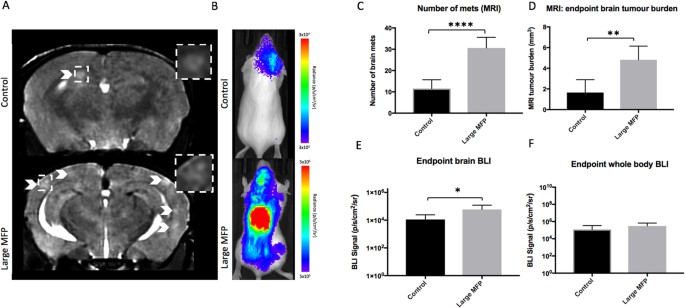 Multimodality cellular and molecular imaging of concomitant tumour ...