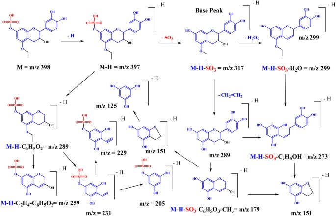 Tannin-rich extracts from Lannea stuhlmannii and Lannea humilis ...