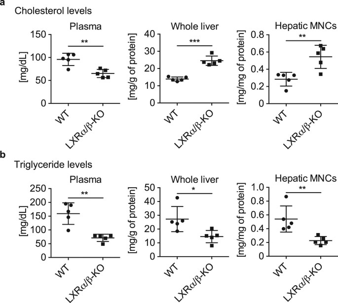 Liver X receptors regulate hepatic F4/80 + CD11b + Kupffer cells ...